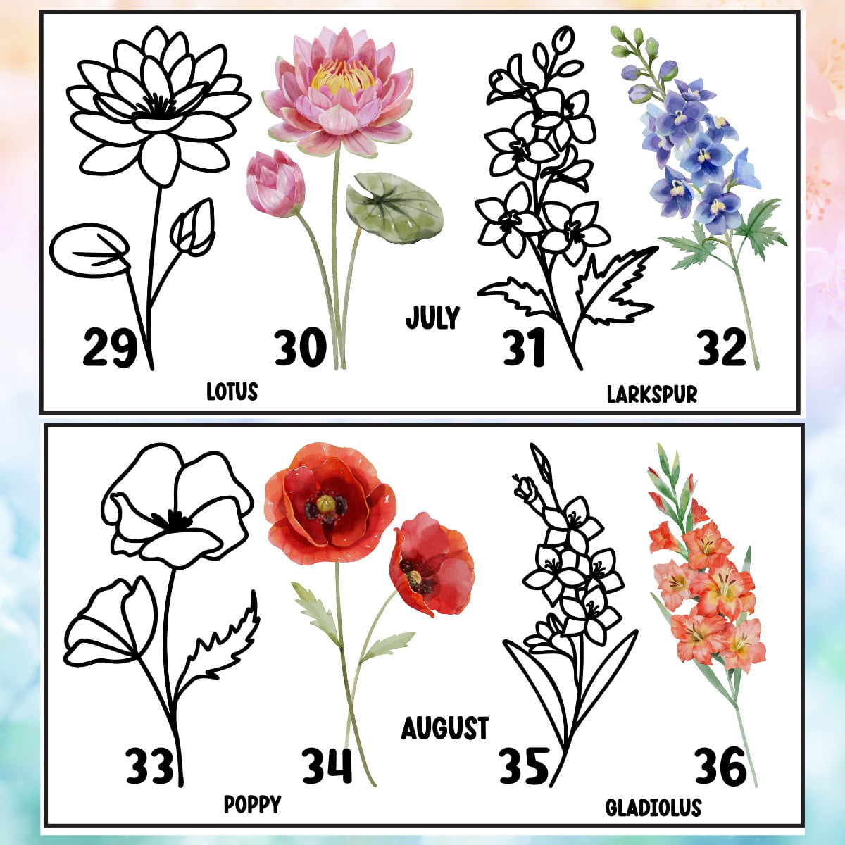 July And August | 4" Birth Month Flowers Decals - HKS Custom Designs